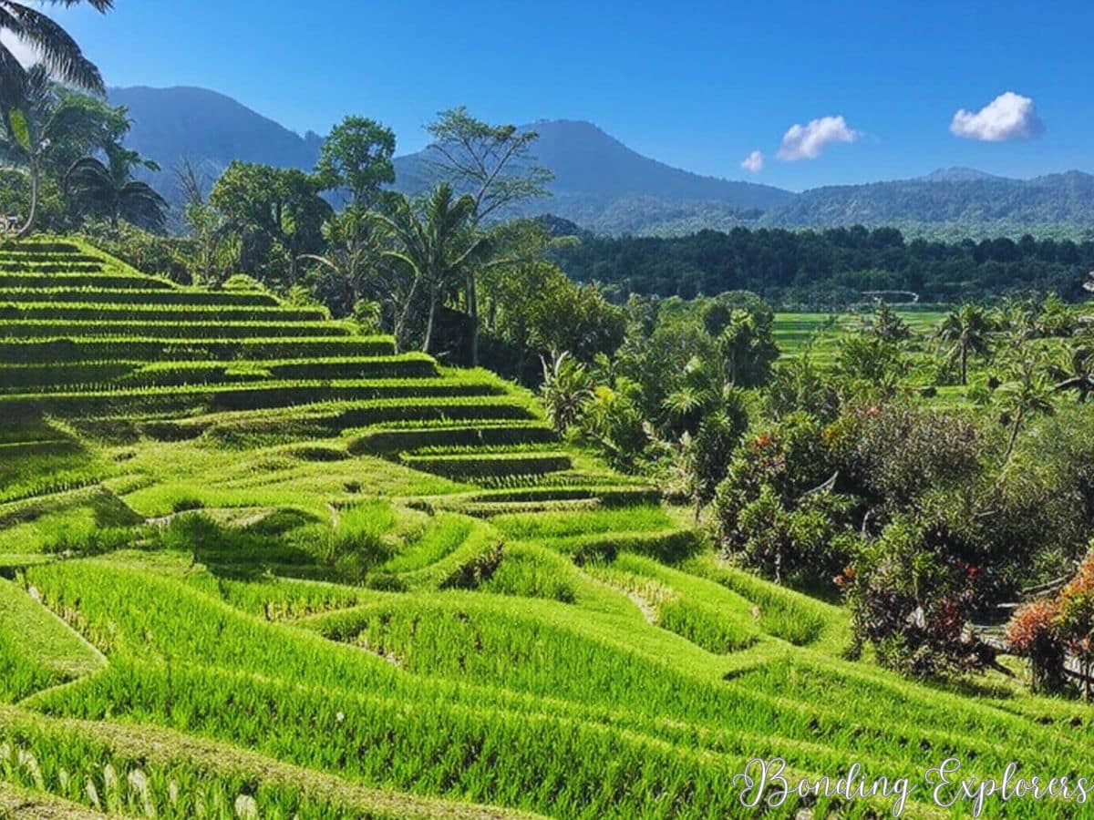 Bali In August, How To Escape The Mass Tourism