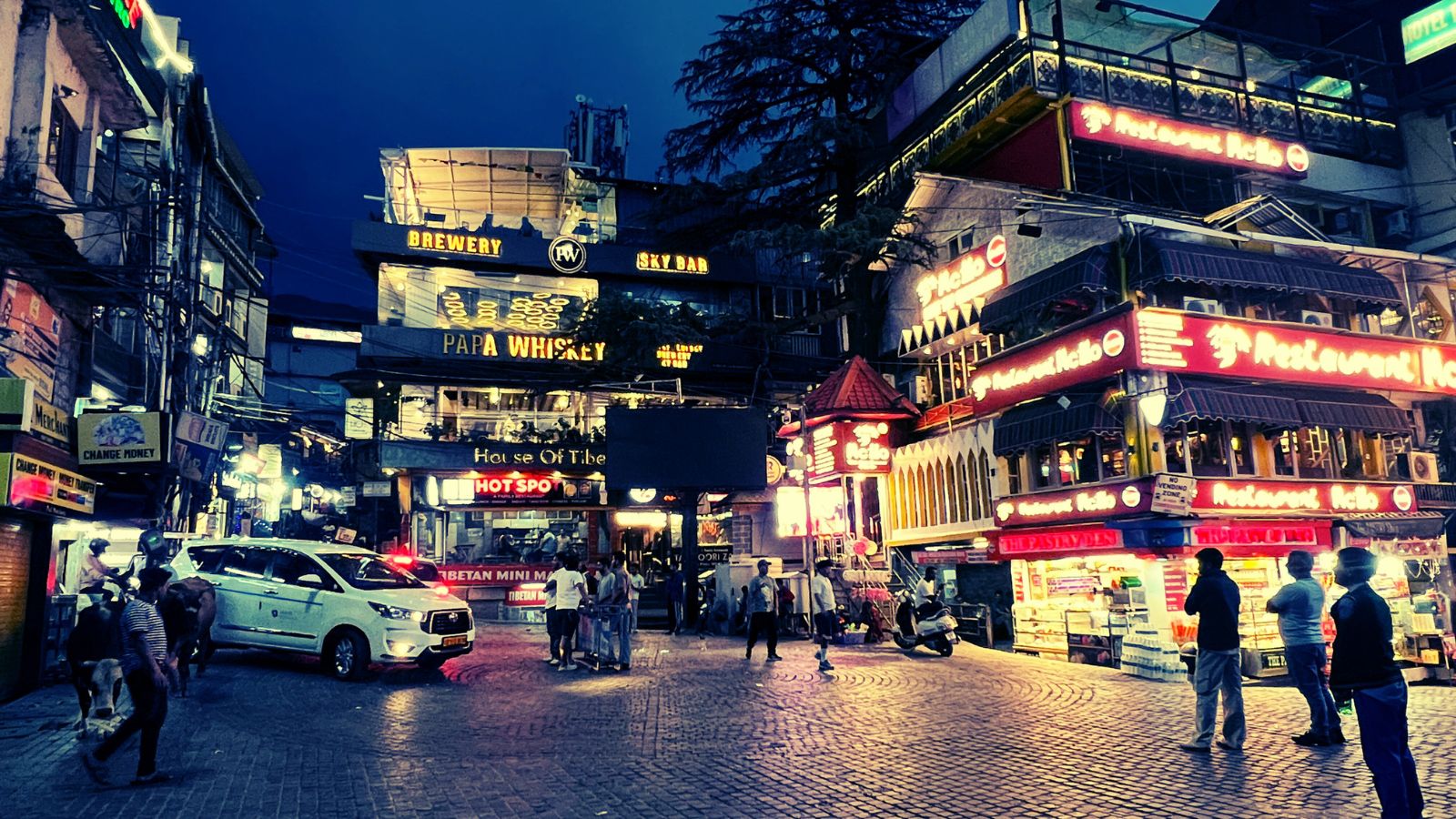 Complete Guide To The Best Activities in Dharamkot