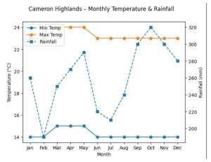 Are the Cameron Highlands Malaysia Worth Visiting? A Complete Family ...