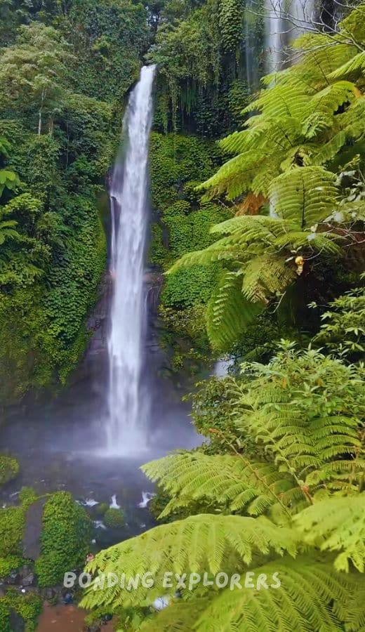 Sekumpul Waterfall Bali – Why It’s Best to Avoid This | Honest Guide