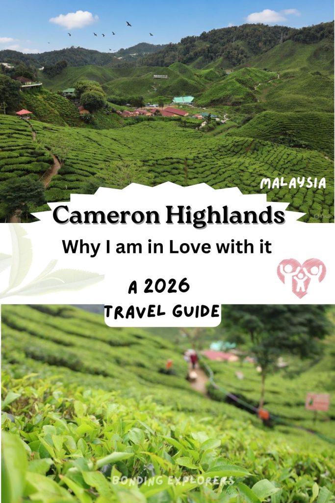 Are the Cameron Highlands Malaysia Worth Visiting? A Complete Family ...
